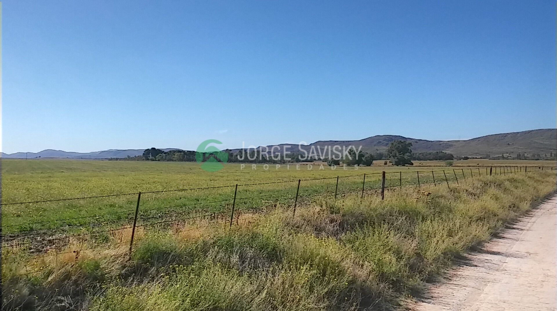 Grandes lotes sobre Ruta 72 – Jorge Savisky